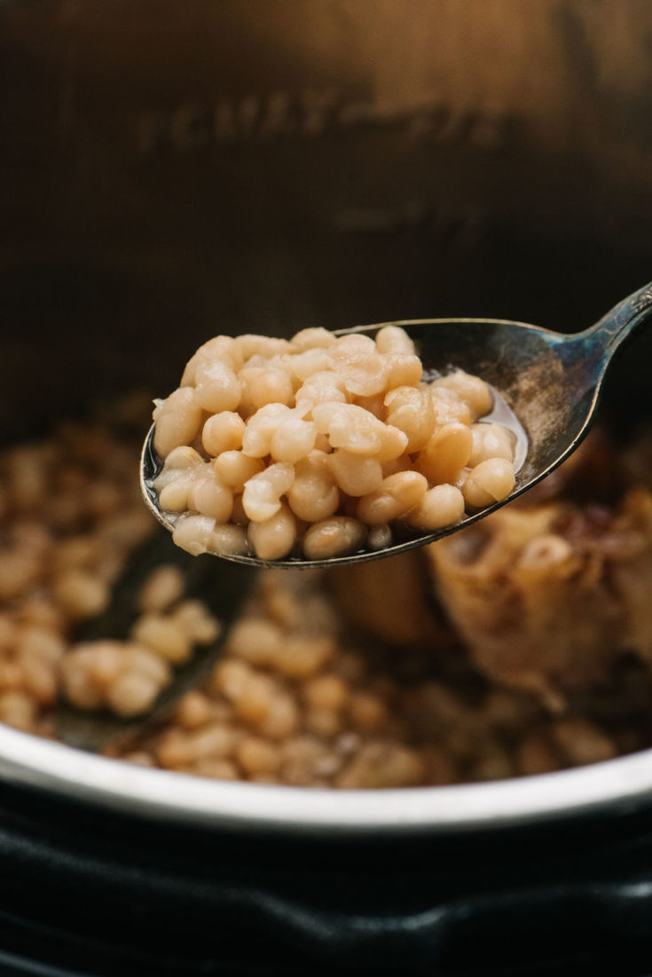 Pressure Cooker Beans | NO SOAK and FAST - The Spicy Apron