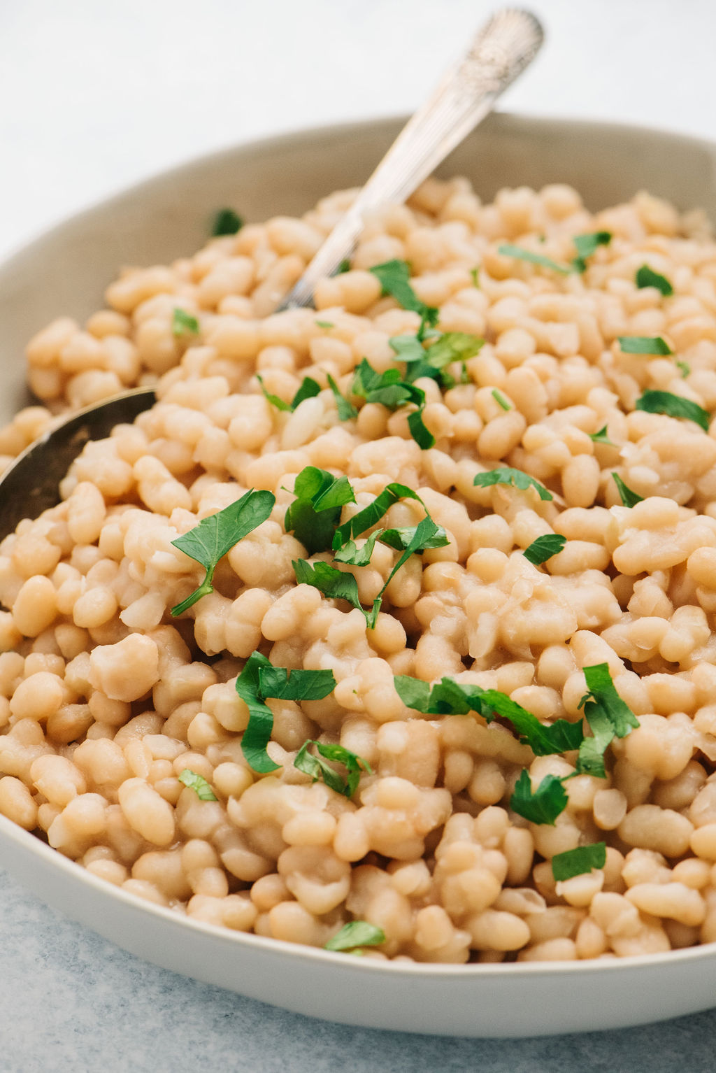 Pressure Cooker Beans | NO SOAK and FAST - The Spicy Apron