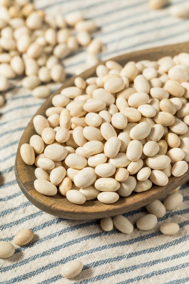 Instant Pot Baked Beans | Easy No Soak - The Spicy Apron